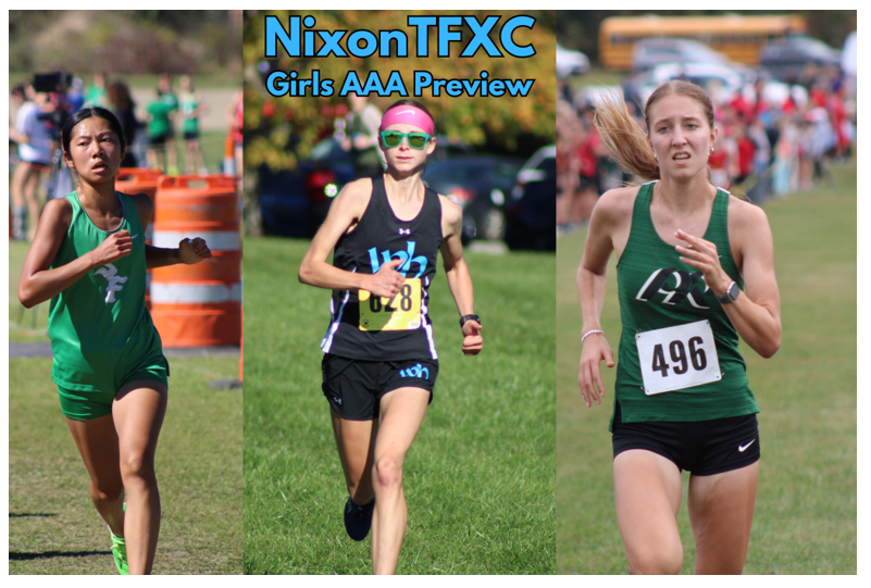NixonTFXC: Turtle Twist WPIAL Championship 2024 Girls AAA Preview ...